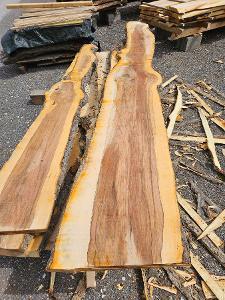 Holz: 641 Ergebnisse - holzquelle