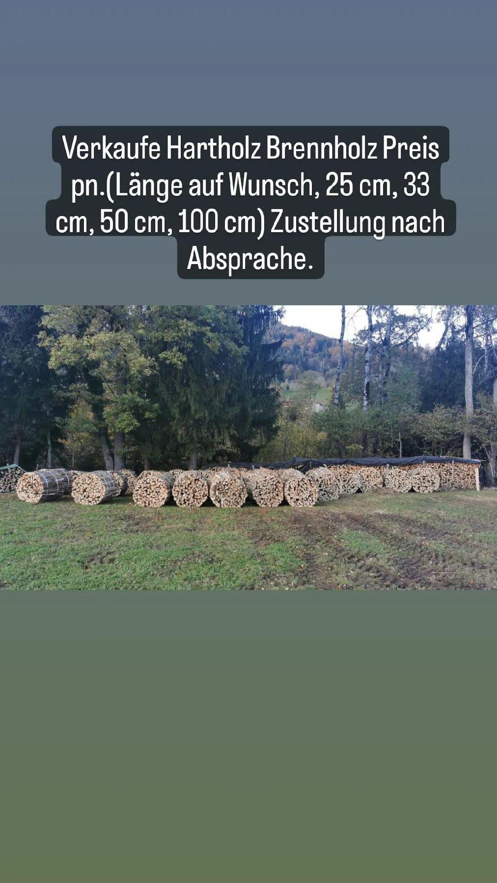 Brennholz Esche, Buche in Thüringerberg - holzquelle