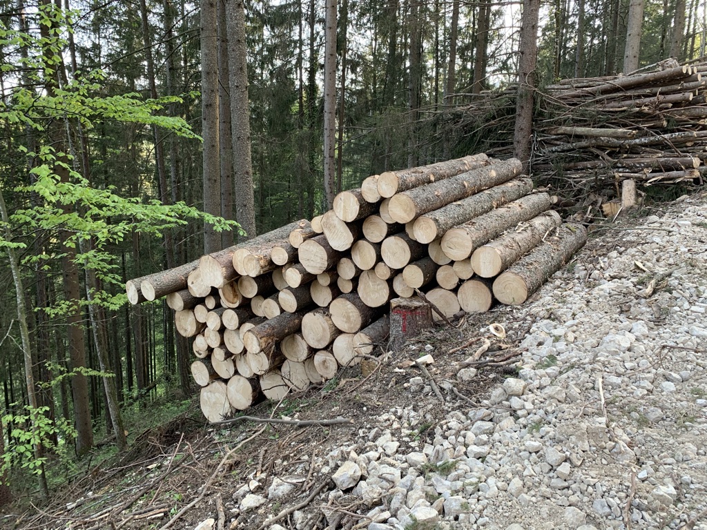 Rundholz Fichte in Bauholz-Qualität - holzquelle