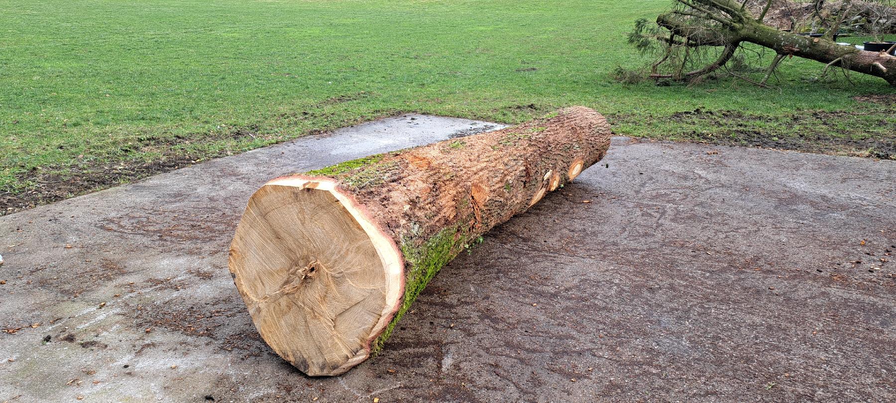 Rundholz Eiche - holzquelle