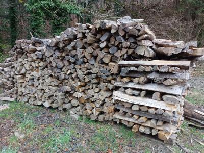 Holz: 641 Ergebnisse - holzquelle