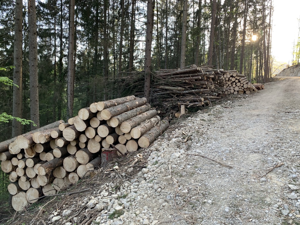 Rundholz Fichte in Bauholz-Qualität - holzquelle