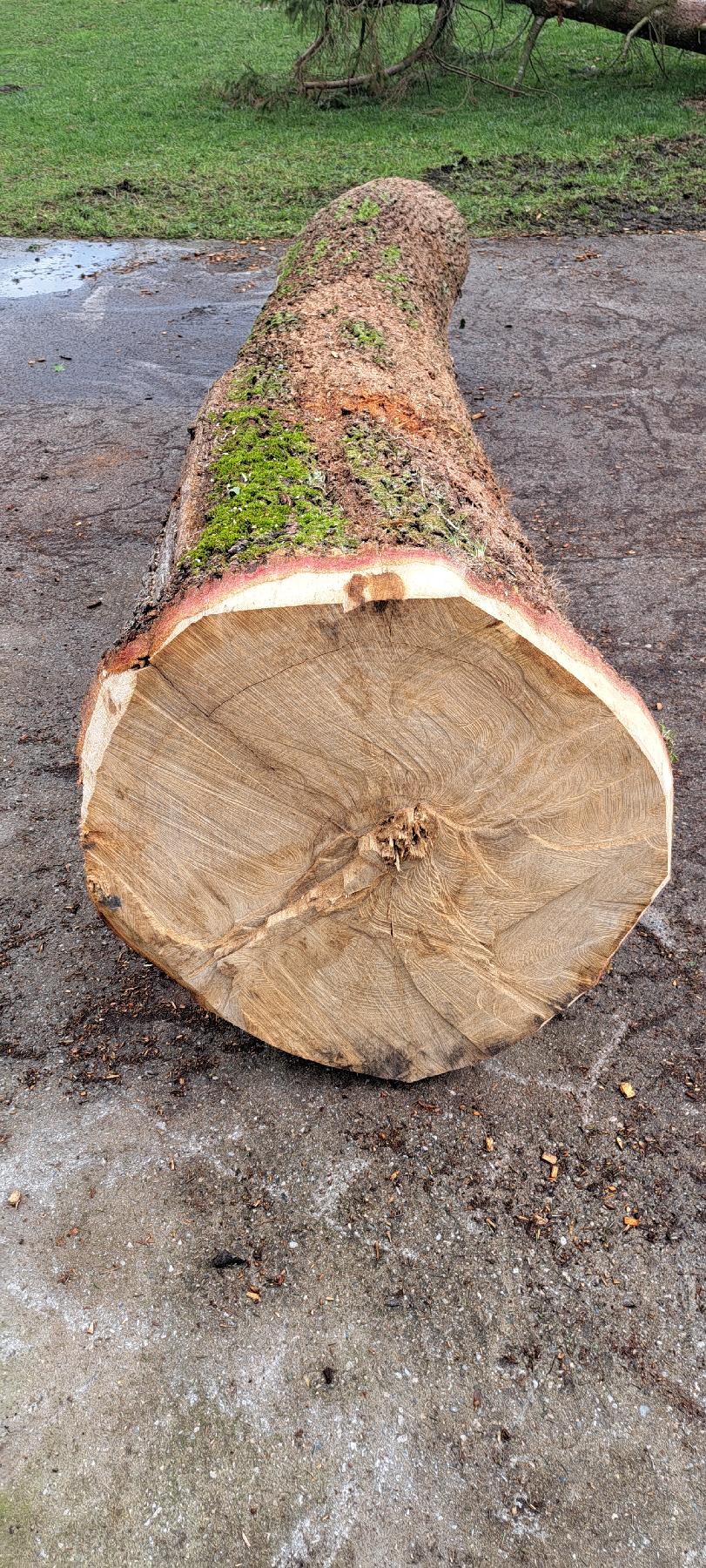 Rundholz Eiche - holzquelle