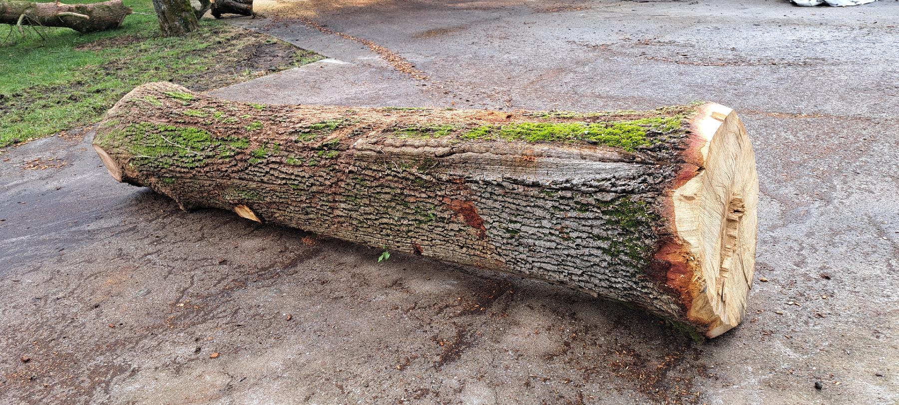 Rundholz Eiche - holzquelle