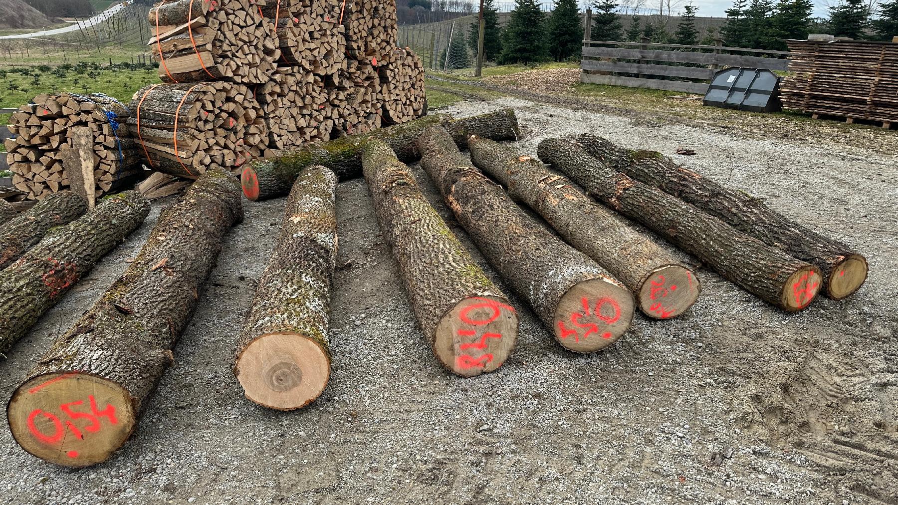 Rundholz Eiche - holzquelle