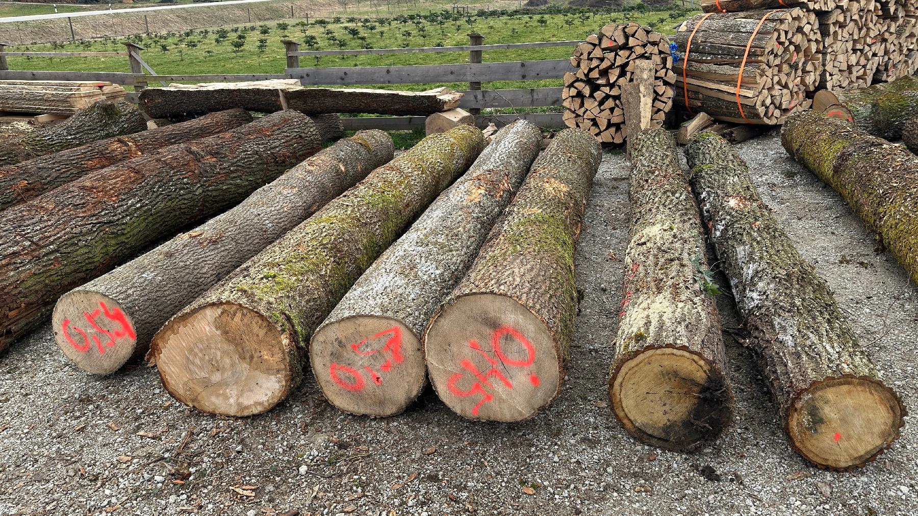 Rundholz Eiche - holzquelle