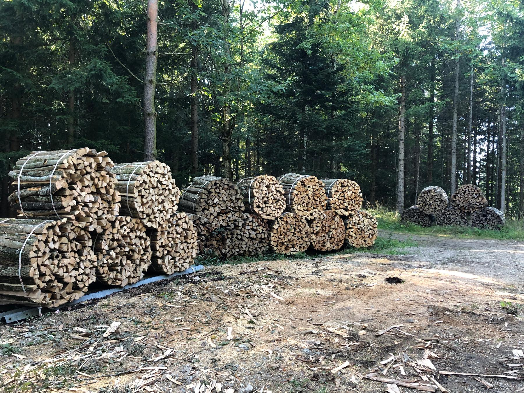 Brennholz Esche, Buche Brennholz - holzquelle