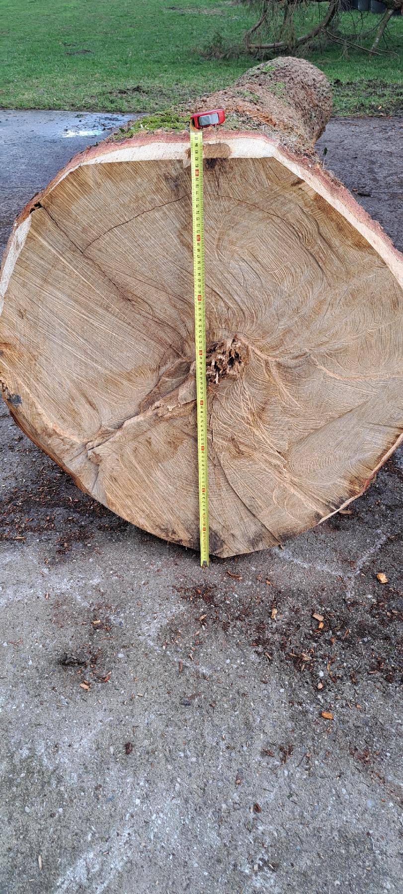 Rundholz Eiche - holzquelle