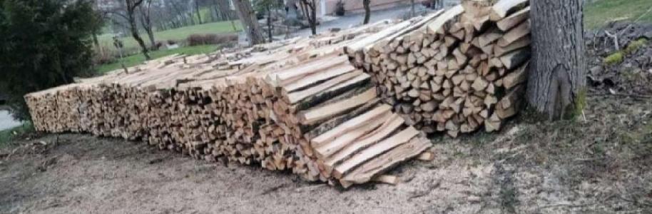 Holz: 641 Ergebnisse - holzquelle