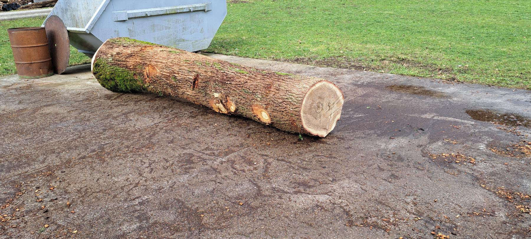 Rundholz Eiche - holzquelle